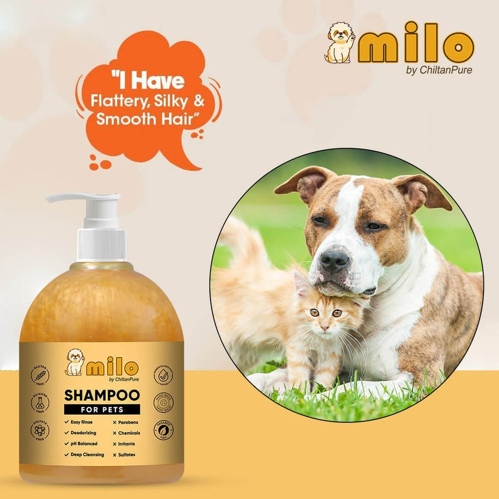 Buy Milo Pet Milo Pet Shampoo at Best Price in Pakistan - MamasJan ...